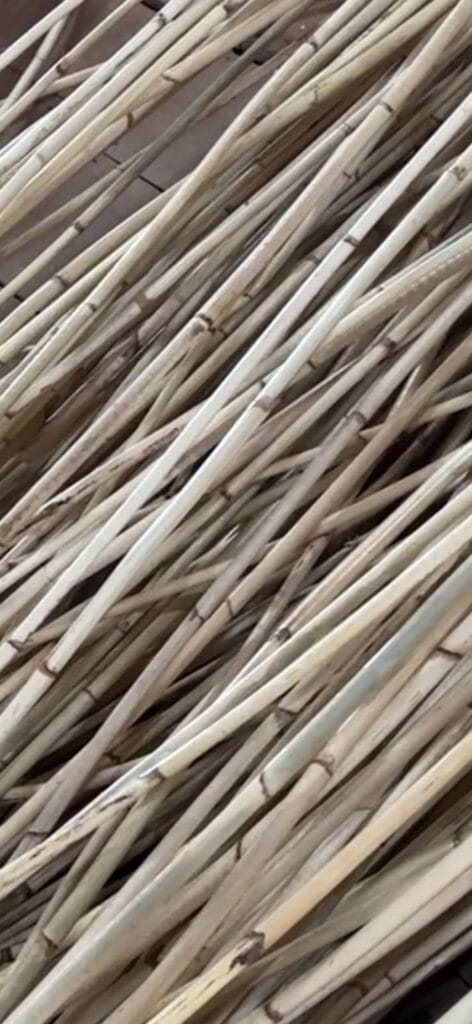 Premium Rattan Materials for Furniture Crafting | Reve Rattan